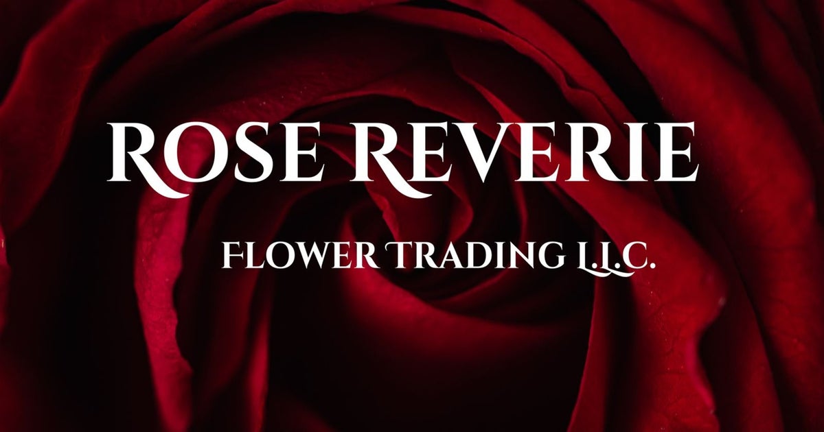 Rose Reverie Flower - Downtown Canal delivery from Downtown Canal ...