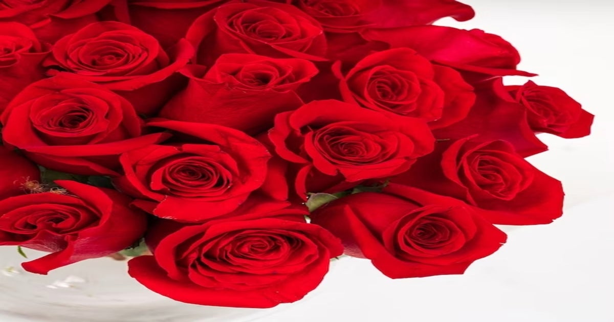 My Roses DMCC delivery from J.L.T. West - Order with Deliveroo