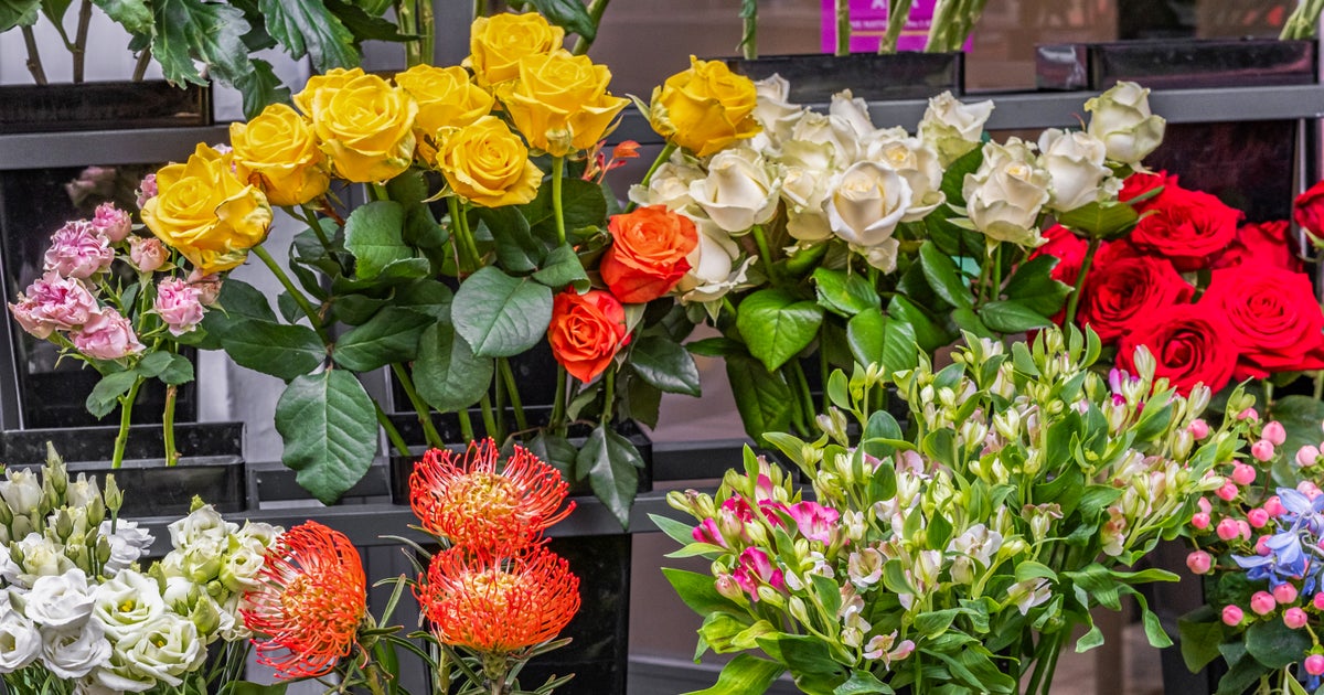 Rani Flowers - Al Khalidiyah delivery from Al Manhal - Order with Deliveroo