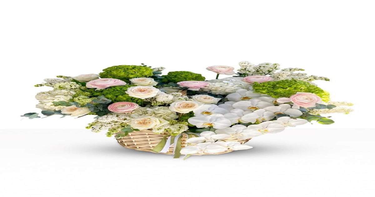 Mr Flowers delivery from Marina - Order with Deliveroo